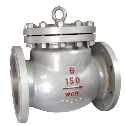 EON Valve Control | EON Supply Inc |. CS Swing Check Valve 150 Trim 8 ...